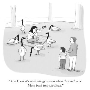 30 Funny Single-Panel Comics By Lynn Hsu That Will Probably Make You Laugh