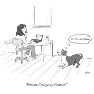 30 Funny Single-Panel Comics By Lynn Hsu That Will Probably Make You Laugh